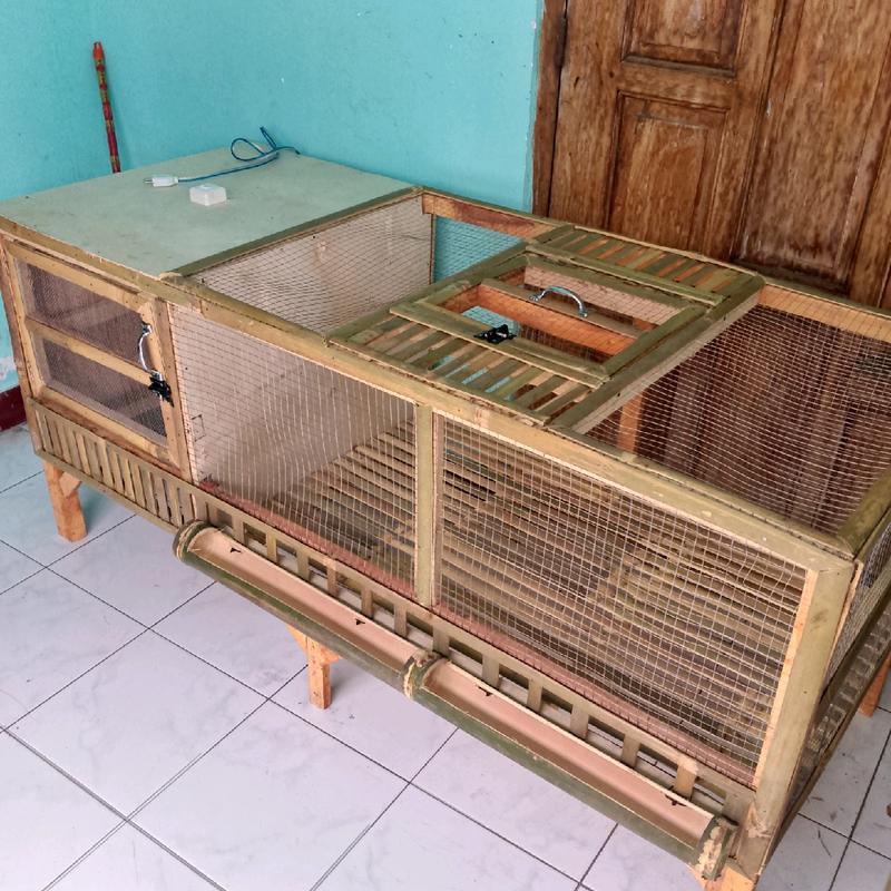 Kandang ayam 2 in 1 untuk pembesaran dan DOC - Shop | Tokopedia