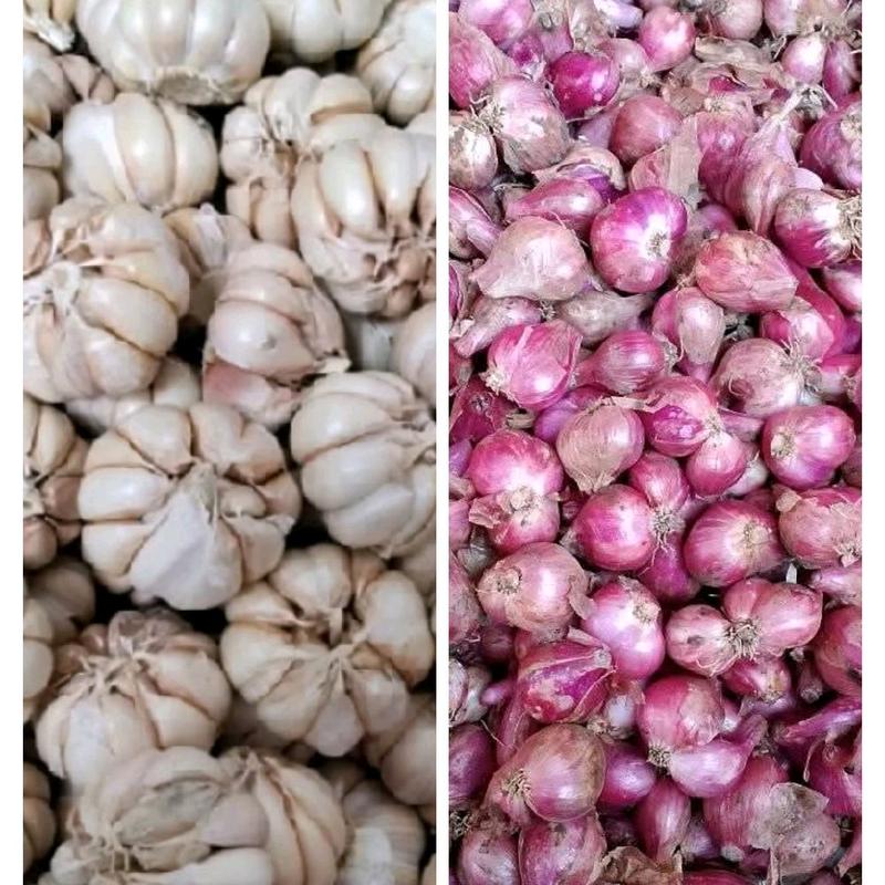SEPAKET BAWANG MERAH&PUTIH 500G BERSIH DAN FRESS Pedas - Shop | Tokopedia