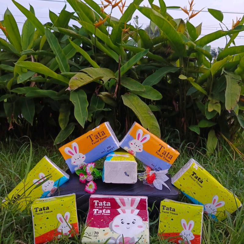 Tisu Wajah Termurah TATA Serbaguna 250,180,150,70 sheet Lembar - Shop ...