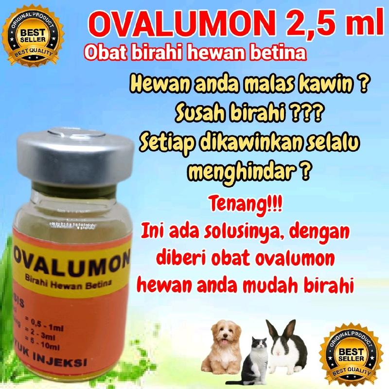 ovalumon 2,5 ml - Shop | Tokopedia