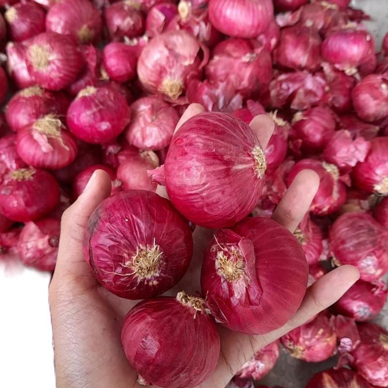 Bawang Merah India kemasan 1 kg - Shop | Tokopedia