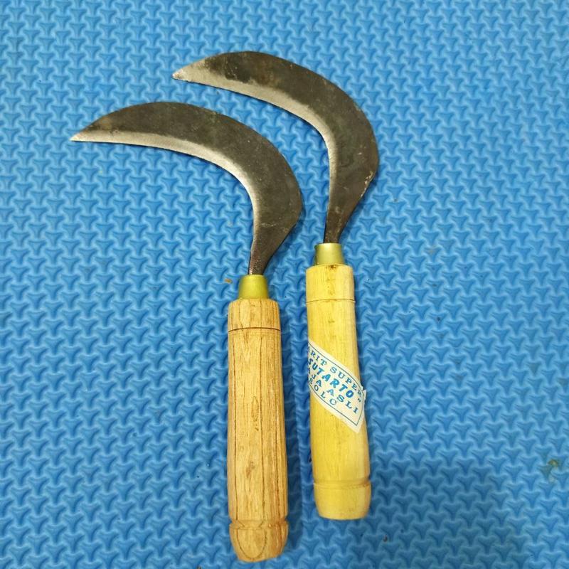 Arit padi arit pare anti mleot - Shop | Tokopedia