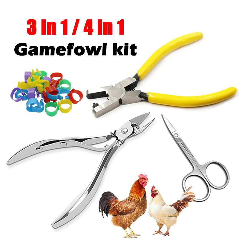 3 IN 1 Gamefowl Kit Chick toe puncher+Chicken marker+Wingban - TikTok ...