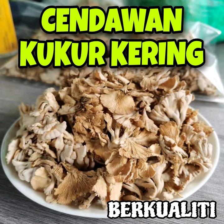 CENDAWAN KUKUR KERING (BETUL2 KERING) 40G 20G / kulat sisir kering ...