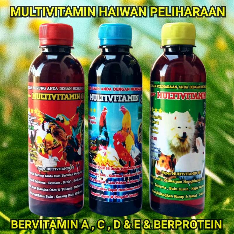 SET COMBO 3 BOTOL DAN 3 JENIS MULTIVITAMIN PENJAGAAN HAIWAN - TikTok ...