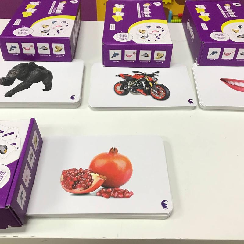 Brainius Real Image Flash Cards for Baby and Toddlers Early Educational ...