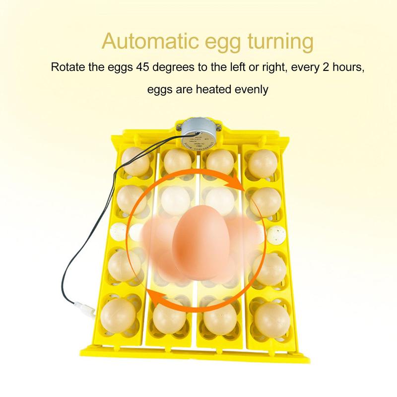 Industrial incubator egg tray Automatic egg turning tray 220 - TikTok ...