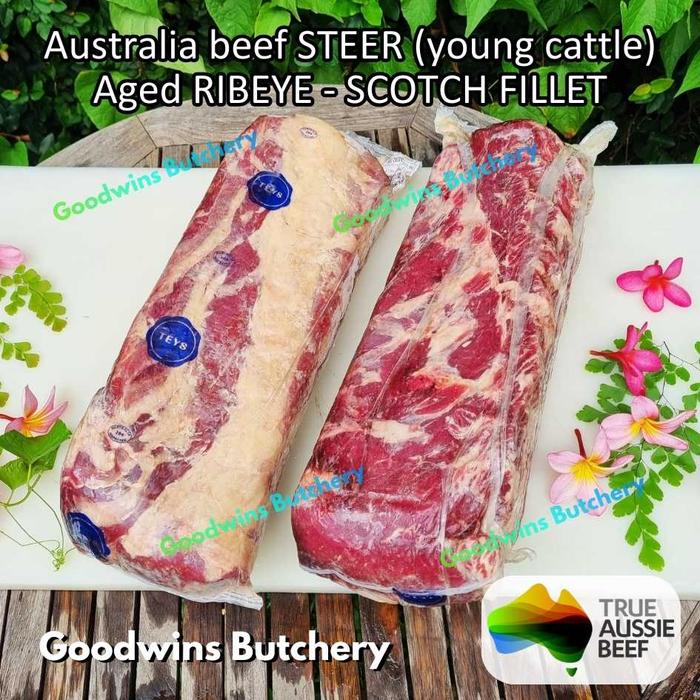 Jual Beef RIBEYE Australia STEER (young cattle) aged-frozen whole cuts ...