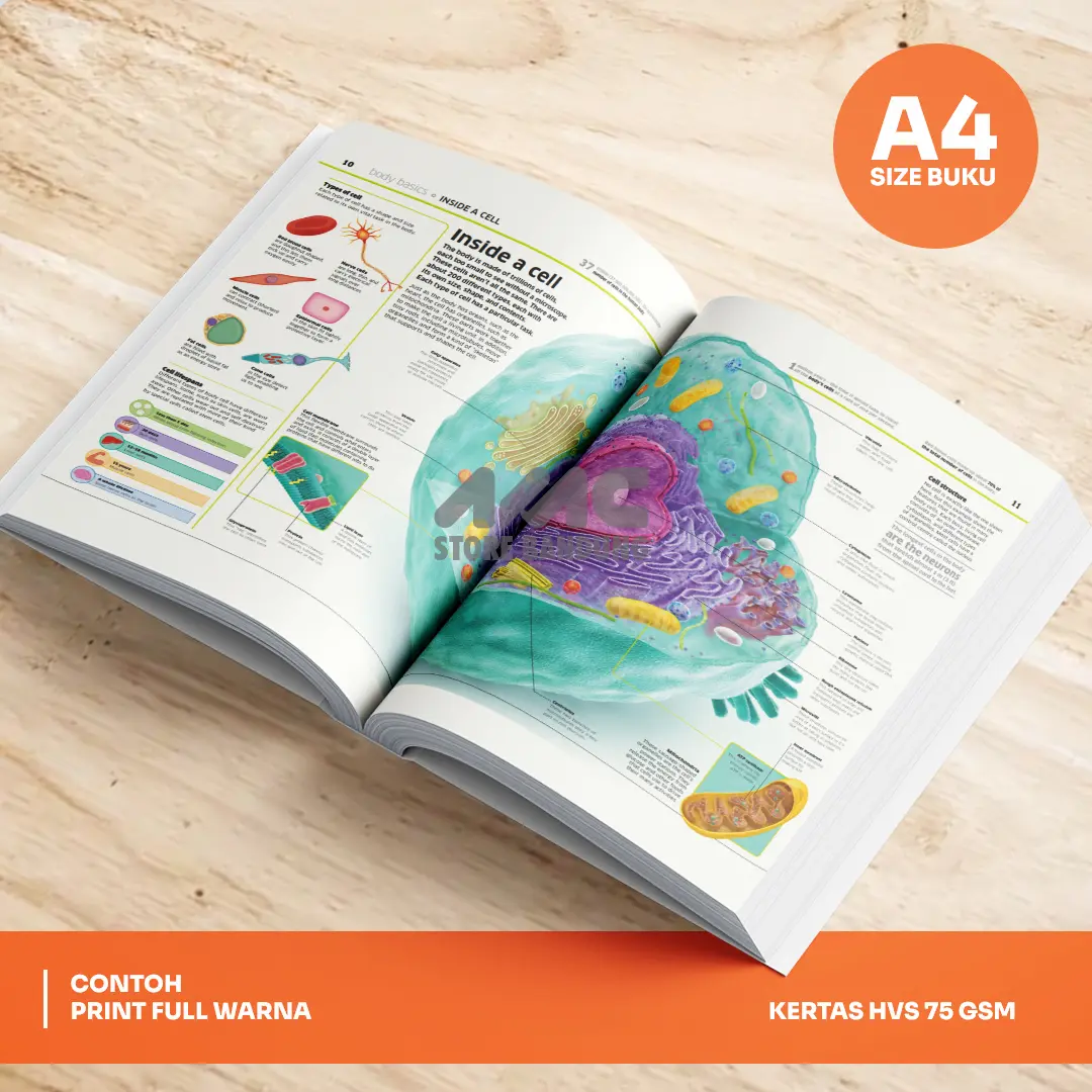 Buku Ensiklopedia Pengetahuan Tubuh Manusia - Shop | Tokopedia