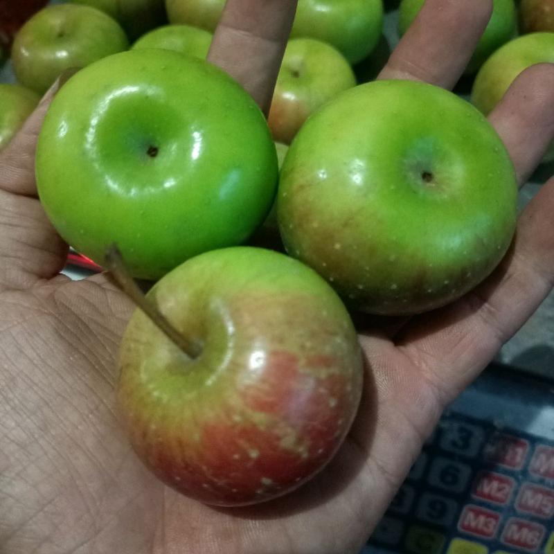 Apel malang(rome beauty) kecil 1kg isi 18-23buah - Shop | Tokopedia