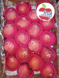 Jual Apel Fuji Wangshan / Rossi / Widerways / Alfa Wider Ways Rosy Wang ...