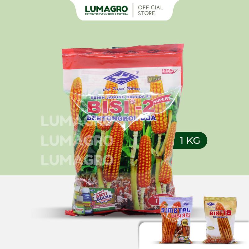 Benih Jagung Bisi 2 Bisi18 Bisi321 Simetal 1kg Bibit Hibrida - Shop ...