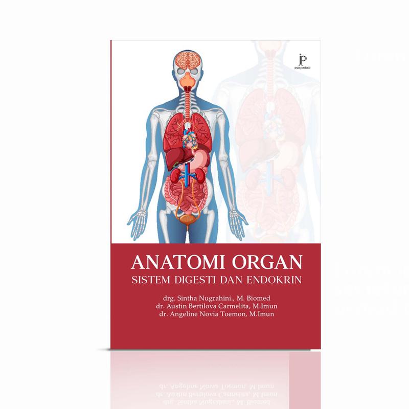 Anatomi Organ Sistem Digesti dan Endokrin - Shop | Tokopedia