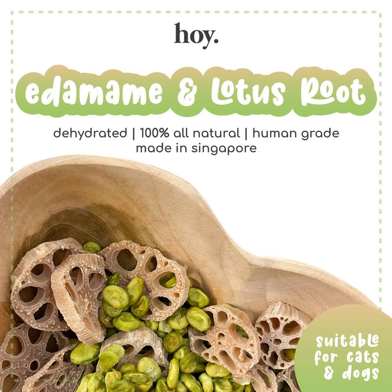 edamame & lotus root (50g) | sayhoy freshly made in singapor - TikTok ...