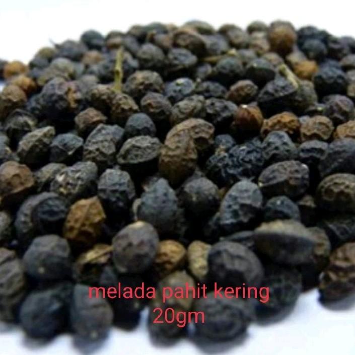 Buah Melada Pahit (organik) /Lada pahit. Mempahit Kering - TikTok Shop ...
