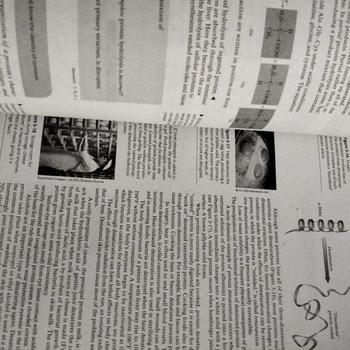 Biochemistry 3rd Edition by Stephen Stoker Soft Cover Regula - TikTok ...