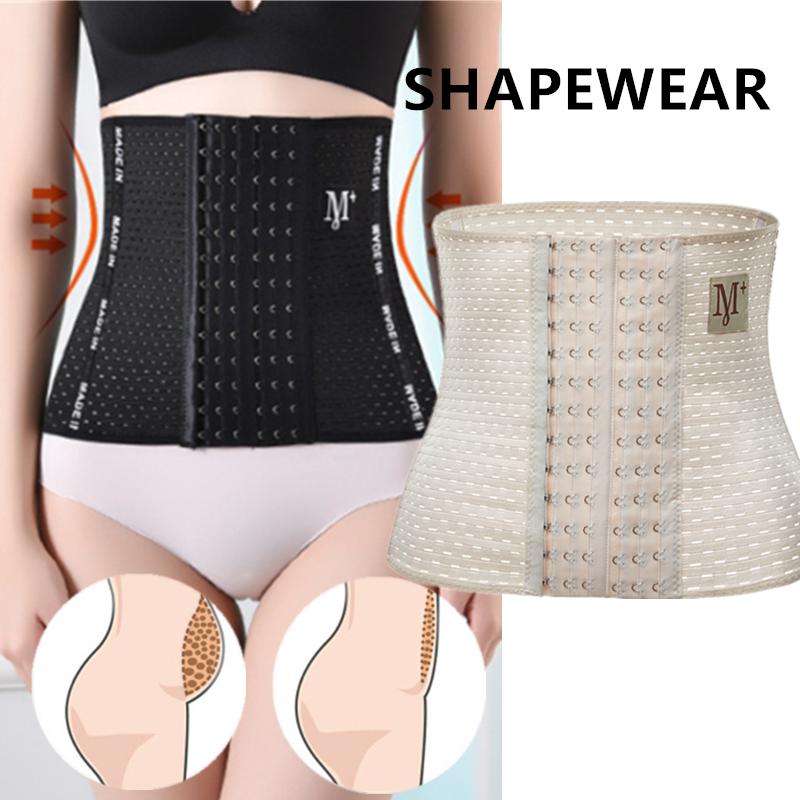 Six Buckles Plus Size Waist Trainer Binders Shapers Modeling - TikTok ...