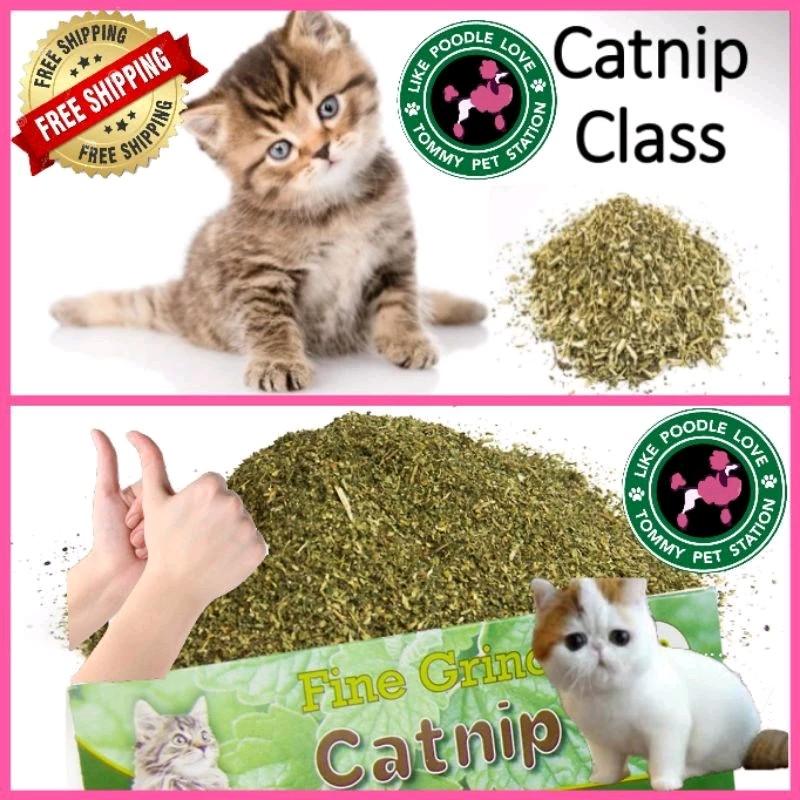 Nature Catnip - Premium Catnip Extra Strong Smell - Canadian - TikTok ...