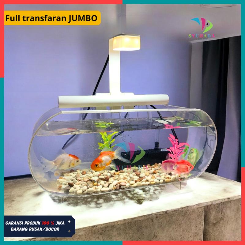 Aquarium full transfaran JUMBO UK 35X15X15 lengkap tinggal pakai - Shop ...
