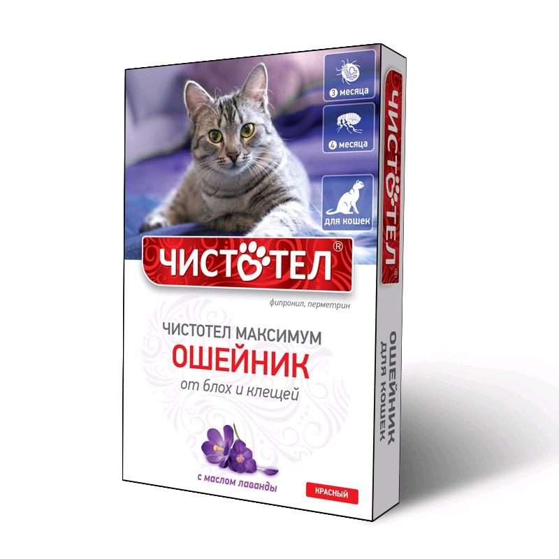 CHISTOTEL SPOT ON FOR CATS / ISI 3 PIPPET / OBAT TETES KUTU KUCING ...