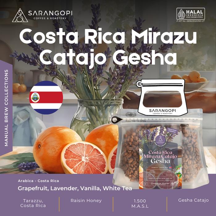 Jual Costa Rica Mirazu Catajo Geisha Kopi Arabika - Sarangopi Roastery ...
