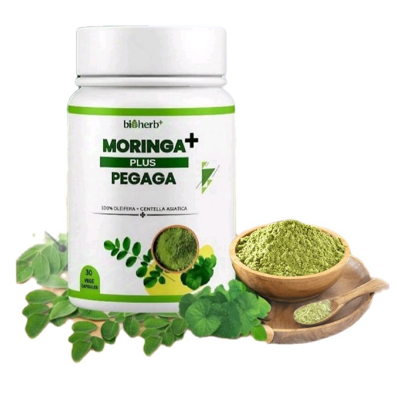 Bioherb Moringa Plus Tea (30 kapsul) Ekstrak Daun Moringa+ Daun ...