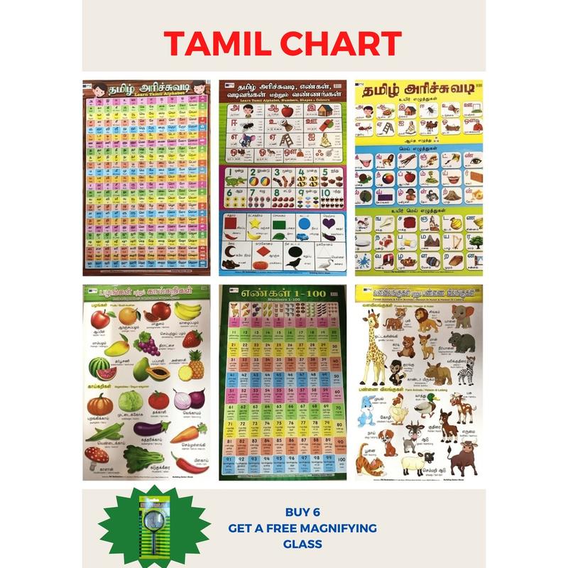 LEARN TAMIL CHARTS (IN 6 TYPES)/CARTA TAMIL - TikTok Shop Malaysia