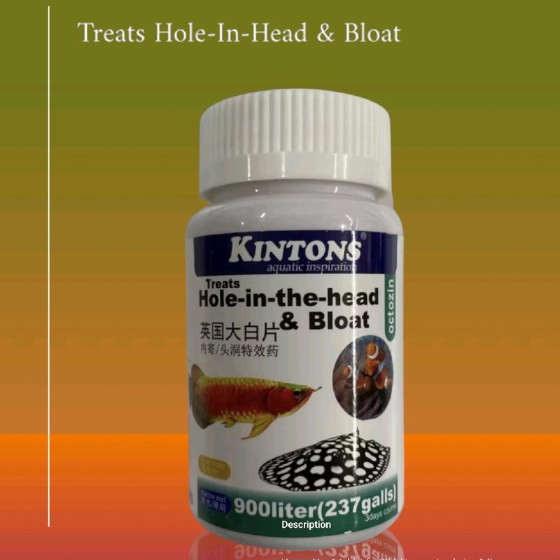 Kintons Treats Hole-In-Head & Bloat Fish Medicine - TikTok Shop Malaysia