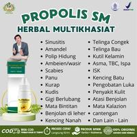 Promo Propolis SM Obat Herbal Untuk Radang Amandel, Sakit Tenggorokan ...