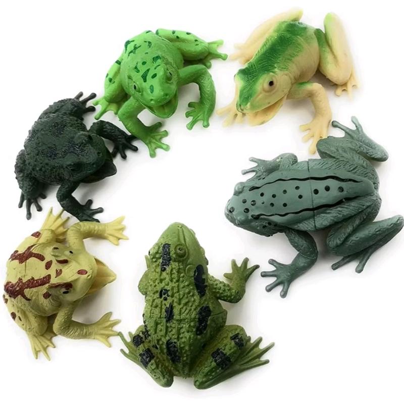 6 pcs real size frogs toys katak mainan with pipi sound - TikTok Shop ...