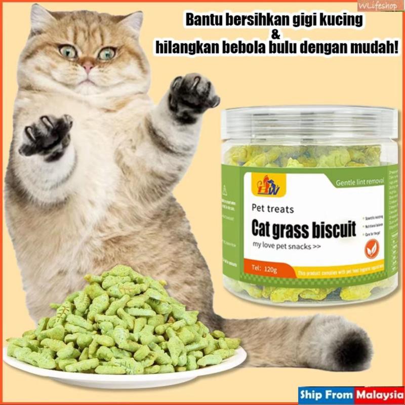 Kuki Catnip untuk Anak Kucing, Makanan Kucing Cat Grass, Batang ...