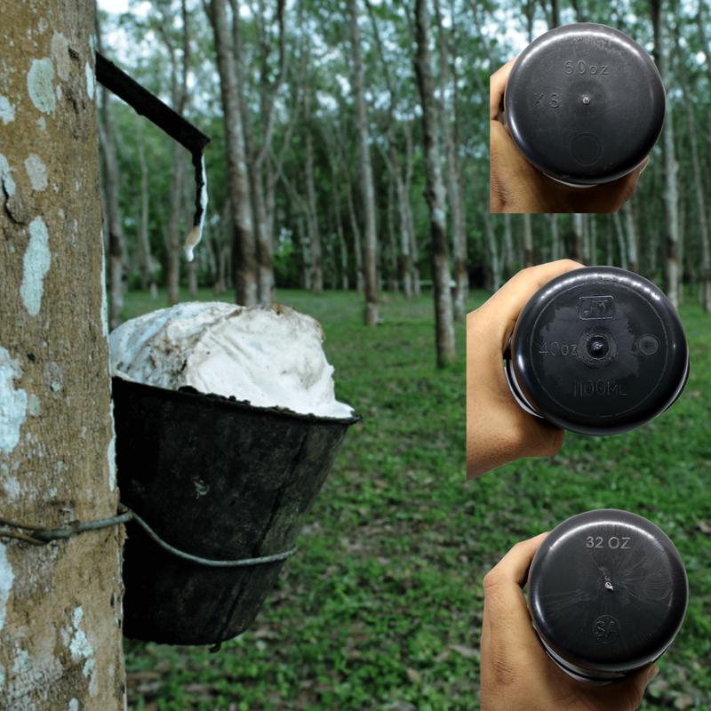 Vase Pot Cawan Susu Pokok Getah Pasu Bunga Plastik 32oz 40oz - TikTok ...