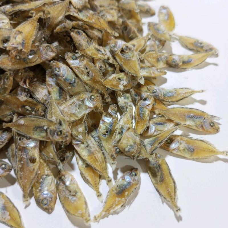 satu paket isi 3pcs ikan asin ( 1pcs 100gr ). ikan asin udang rebon ...