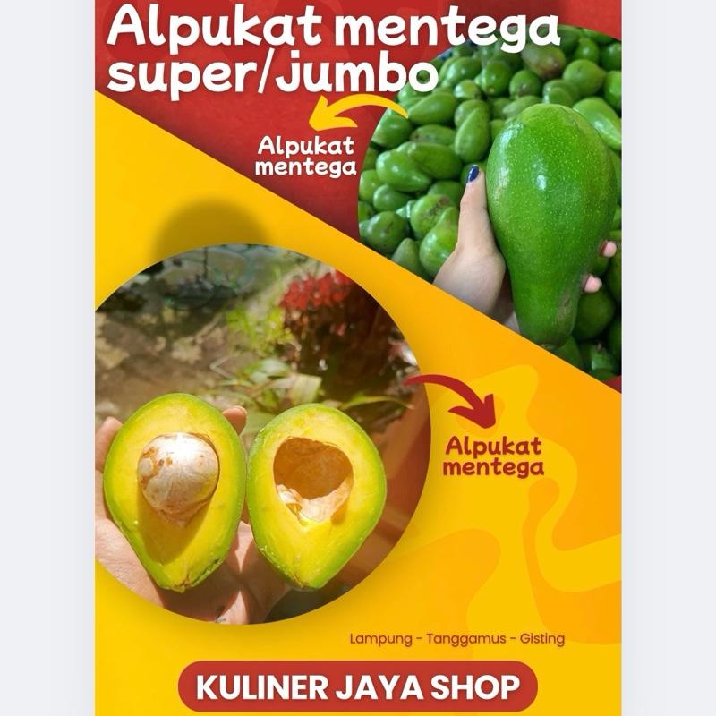 Alpukat Mentega Alpukat Lampung Super / Jumbo 1kg (isi 2/3) - Shop ...
