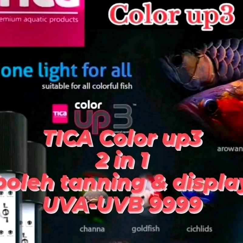 TICA Color up3 light （2 in 1）boleh tanning & display - TikTok Shop Malaysia