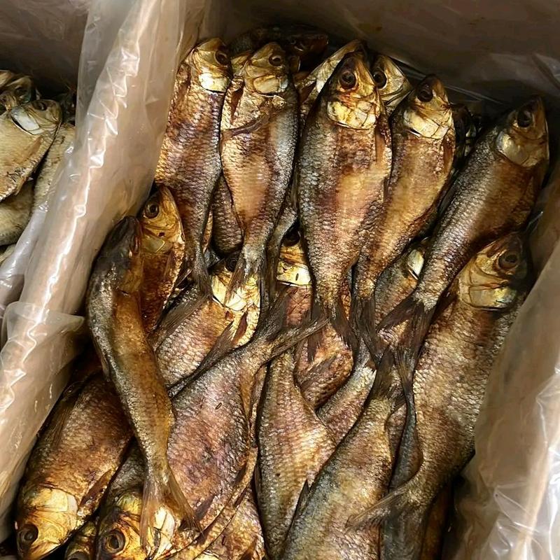 Ikan Asin Belo Jumbo - Ikan Tanjan Sisik Super Grade ; 1 kg Seafood ...