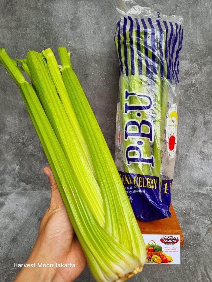 Jual HarvestMoon Celery Stick Stalk Import Per krat - Jakarta Barat ...