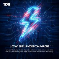 Promo Accu TDR Lithium Iron Phosphate (LiFePO4) Battery TLFP-20L Aki ...