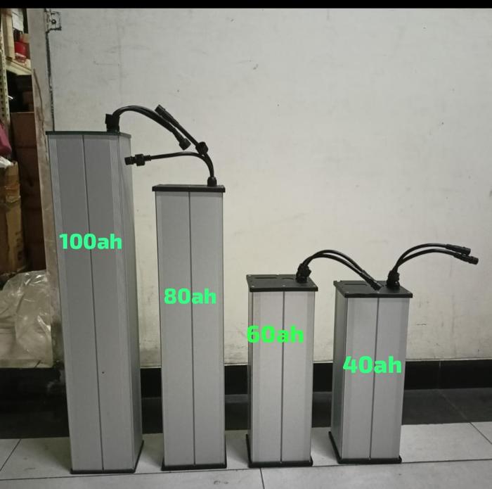 Jual Baterai Lithium Lifepo4 battery Pack With Build in Solar Charge ...