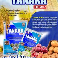 Promo Fungisida Tanaka 80 WP 500gram obat layu Fusarium bercak daun ...