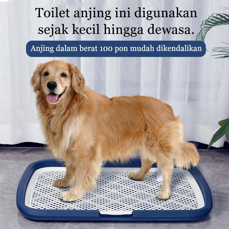 Pet Toilet Anjing Besar Potty Training Toilet Anjing Toilet Untuk ...