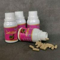 Promo ZEDOMAX Herbal 100% Original - Obat Zedo Max Solusi Atasi Kanker ...