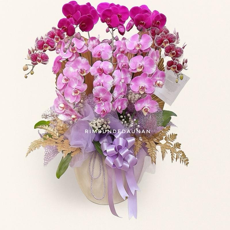 Anggrek Bulan Asli 8 Tangkai Hampers Hiasan Hadiah Kado RIMBUNDEDAUNAN ...