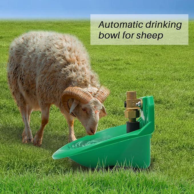 AUTOMATIC Drinking Bowl For Sheep Goat Automatic Water Drinker - TikTok ...