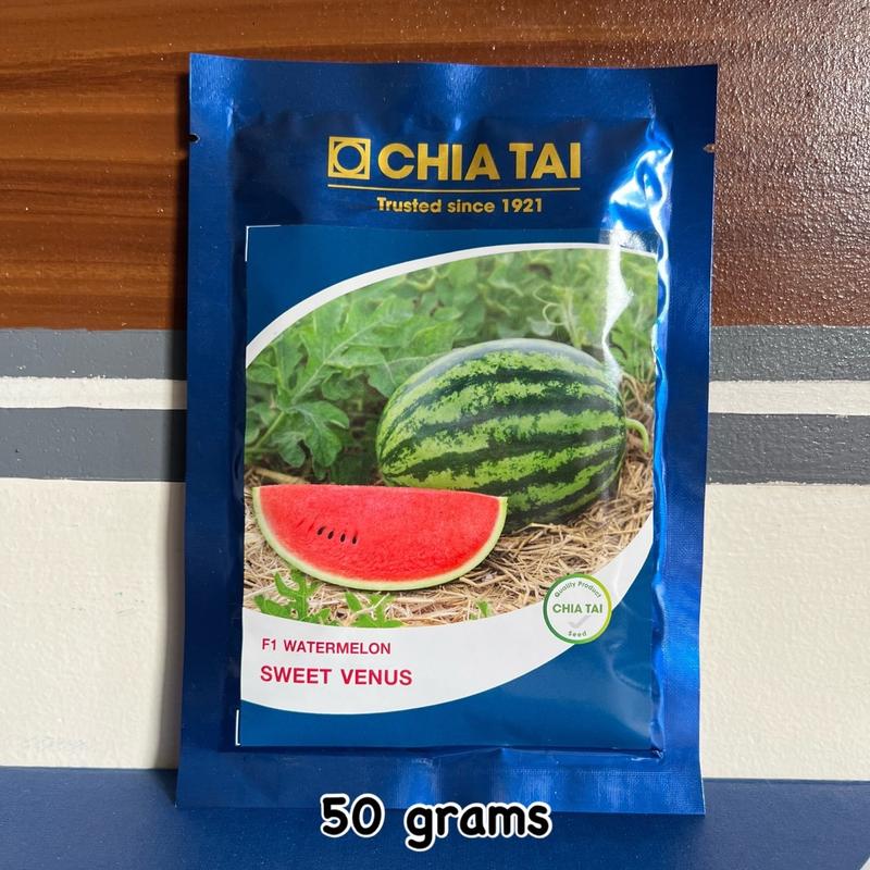 SWEET VENUS F1 (50g) CHIA TAI HYBRID WATERMELON QUALITY SEEDS - TikTok ...