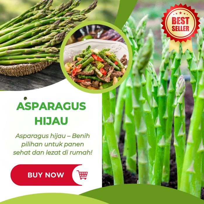 Promo Benih Asparagus Hijau F1 Premium – 50 Seeds untuk Hidroponik ...