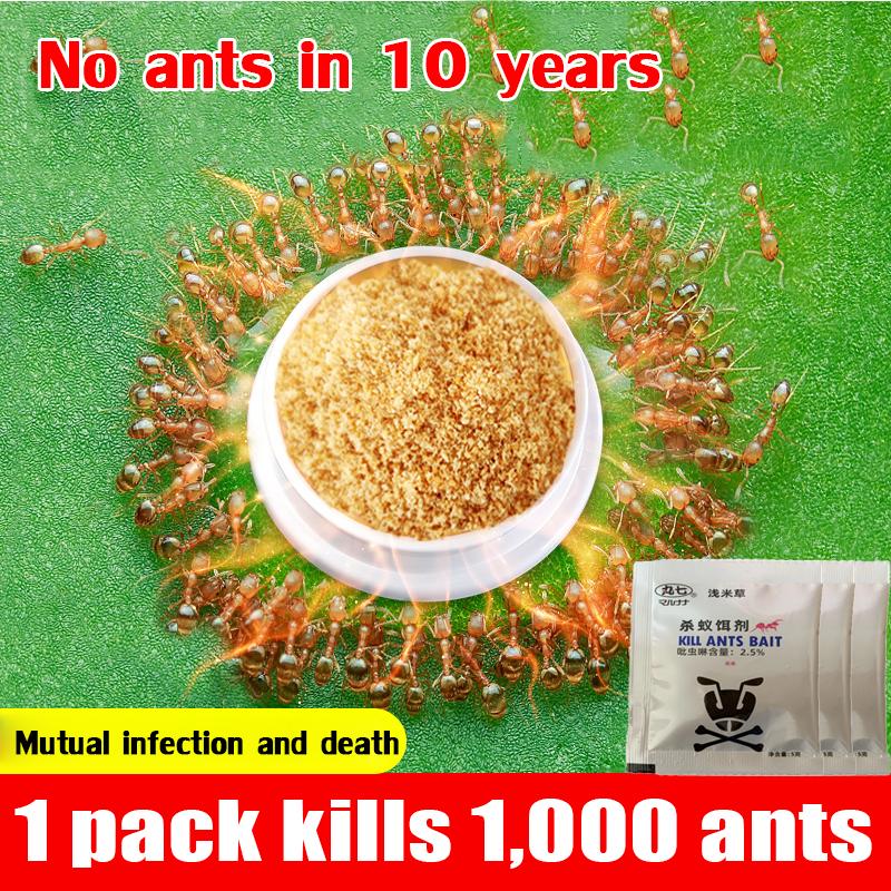 【No effect full refund】24 hours delivery ant killing bait ant killer ...
