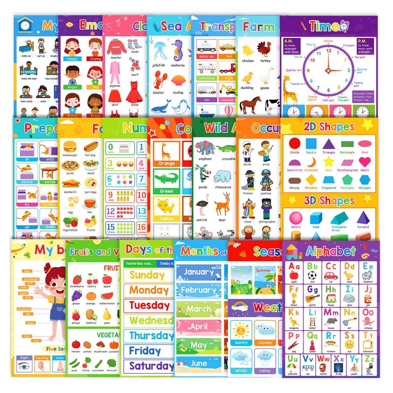 English Learning Theme Poster, 20pcs/set Cognitive Time Fruits Colours ...