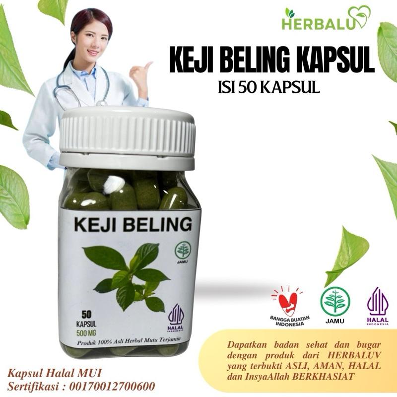 HERBALUV Kapsul Keji Beling Original ( Herbal Batu Ginjal, Batu - Shop ...