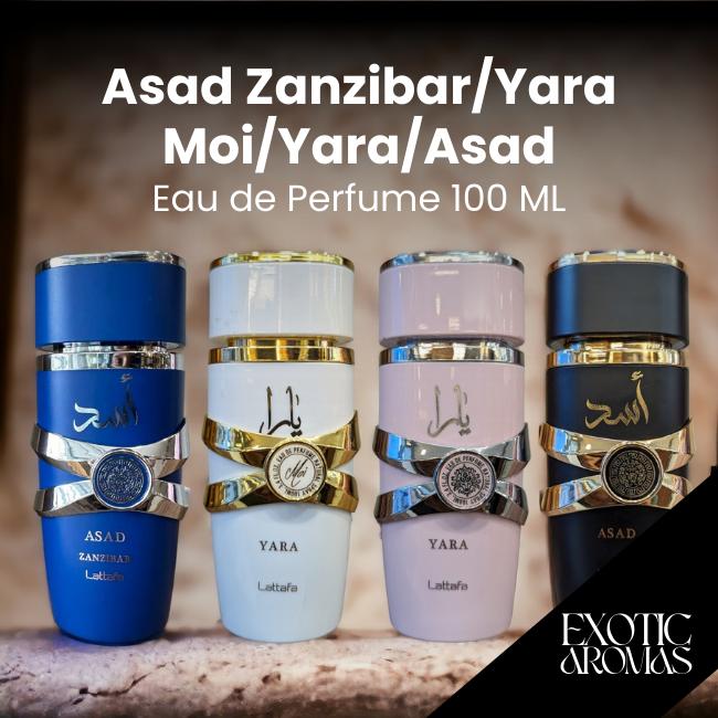 Asad Zanzibar / Yara Moi / Yara / Asad EDP 100ML by Lattafa - TikTok ...